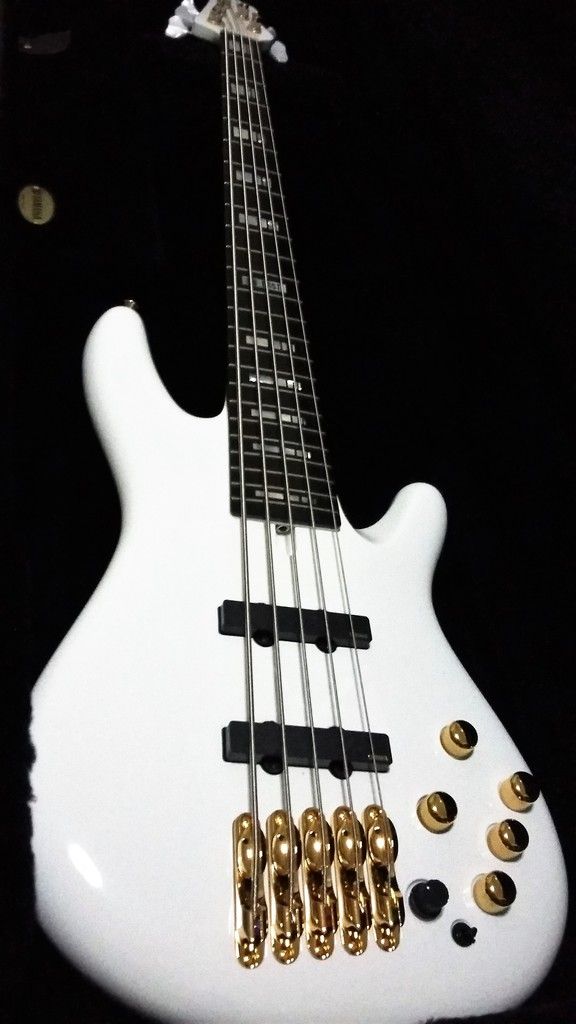 The official "Show your basses" thread part 19! | Page 141 | TalkBass.com