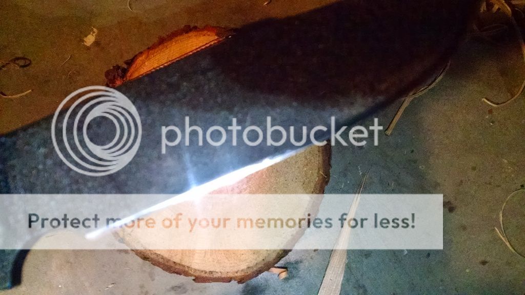 A Quick look at Busse Swamp Rat Rodent 6 | BladeForums.com