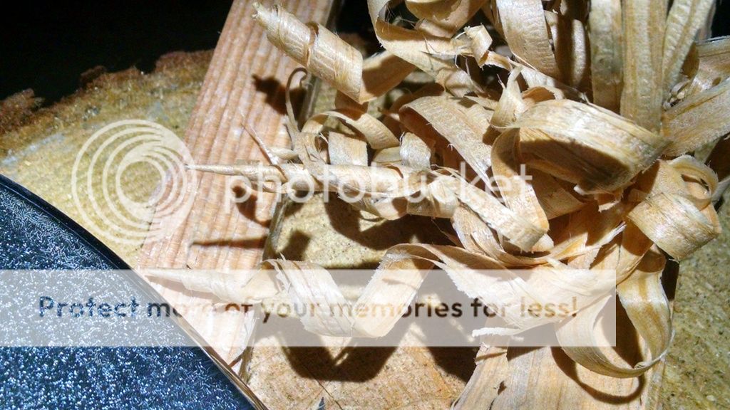 A Quick look at Busse Swamp Rat Rodent 6 | BladeForums.com