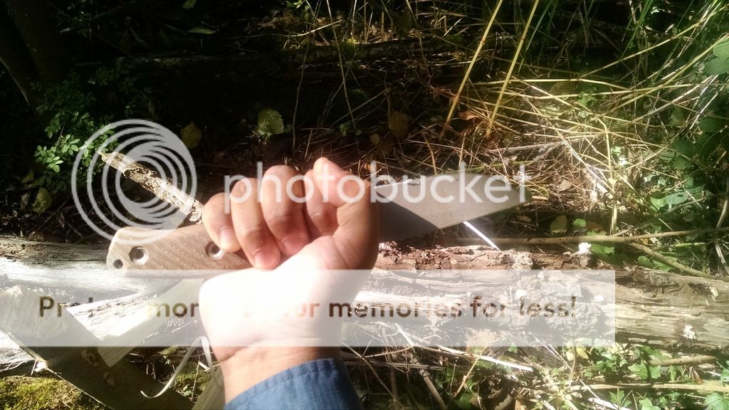 Swamp Rat Ratmandu ongoing review. | Page 2 | BladeForums.com