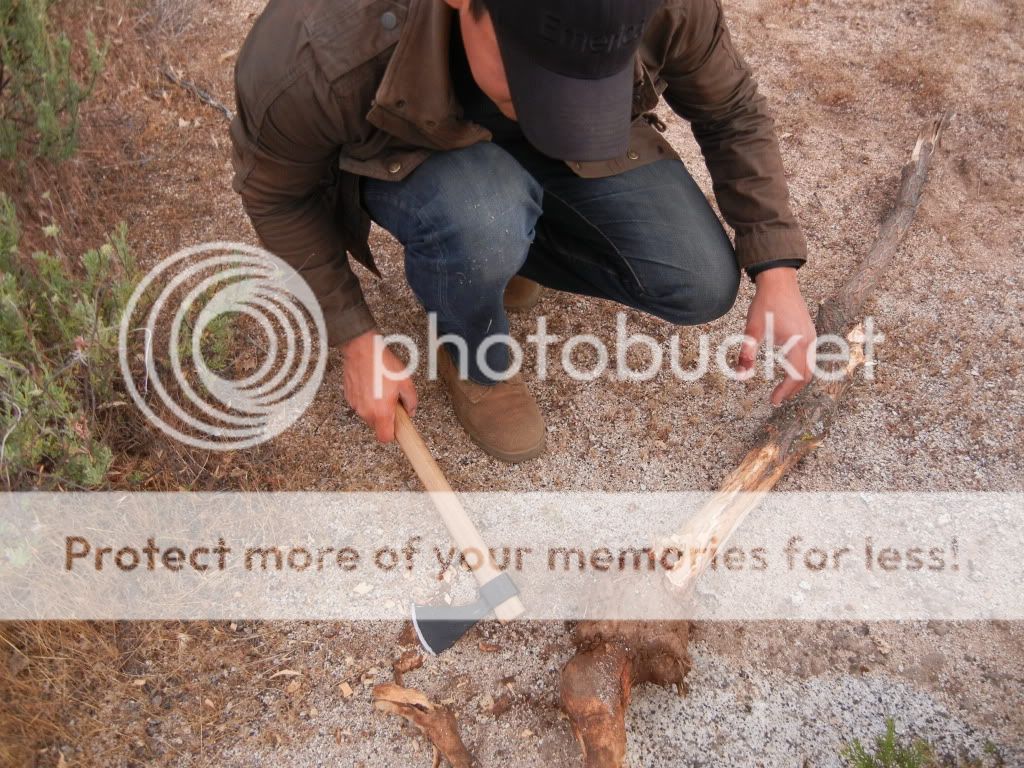 Root ball head war club?? How to make one ? | BladeForums.com