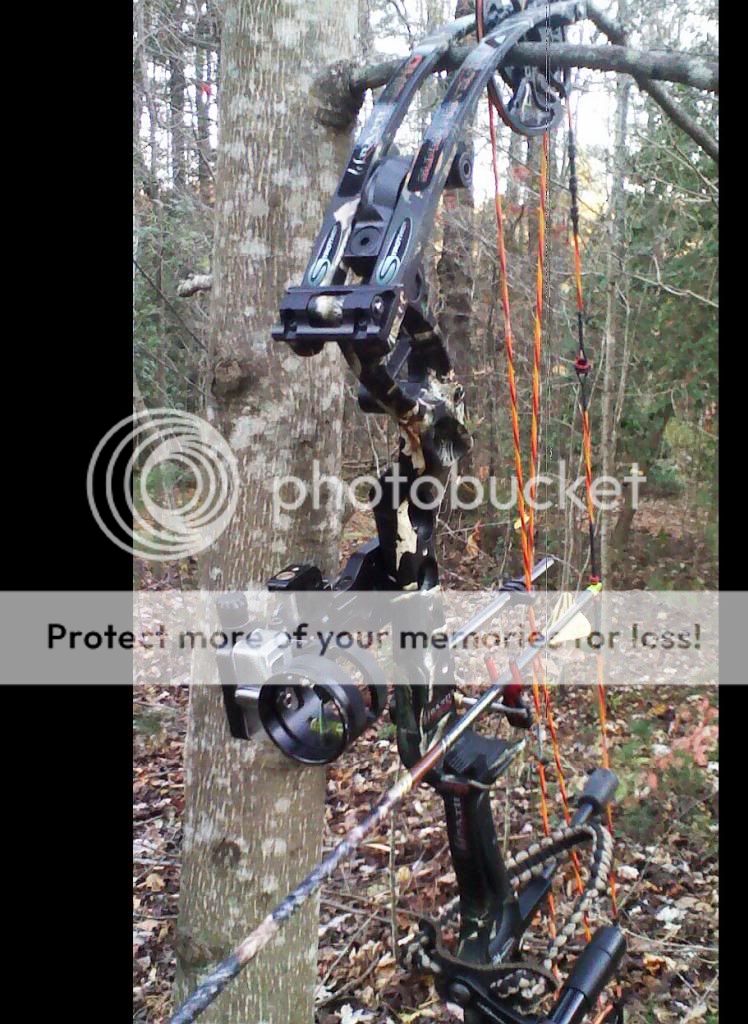 Strother Wrath SHO full pic and specs! | Archery Talk Forum